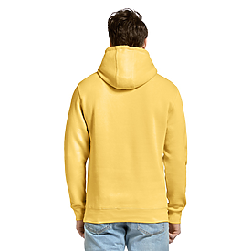 Lane Seven Apparel Premium Pullover Hoodie | Carolina-Made