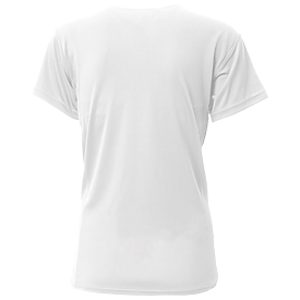 A4 Apparel Women's Pro DNA Baseball Jersey | Carolina-Made